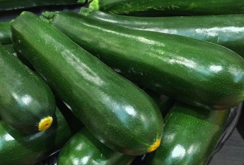 Courgette Longue 'Black Beauty' BIO Cucurbita pepo